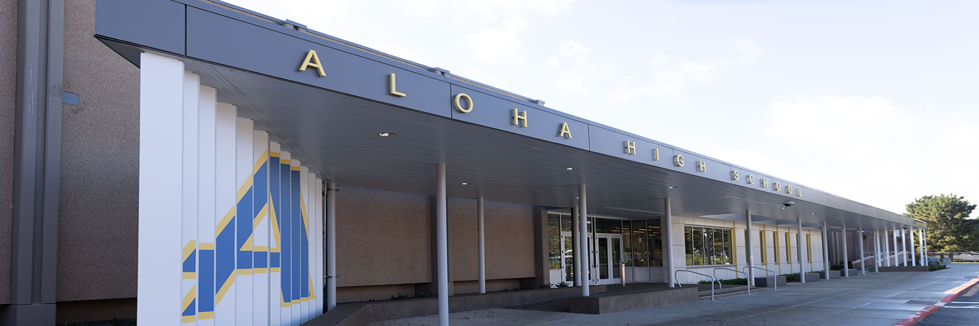 Aloha High School New Mascot Selection | Engage BSD